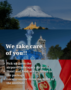 Live Dental Implant Training | Misch Implant Institute